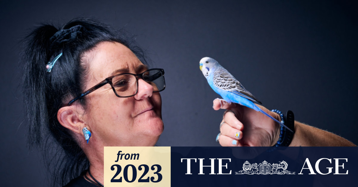 NGV Melbourne Kids Summer Festival: Meet the budgie that speaks a First Nations language